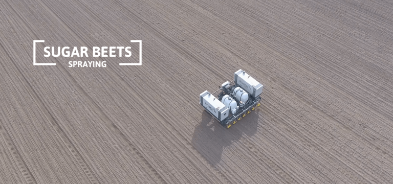 Sugar Beets – Agrointelli